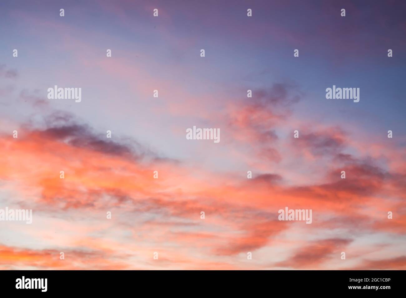 Nature of east europe hi-res stock photography and images - Alamy