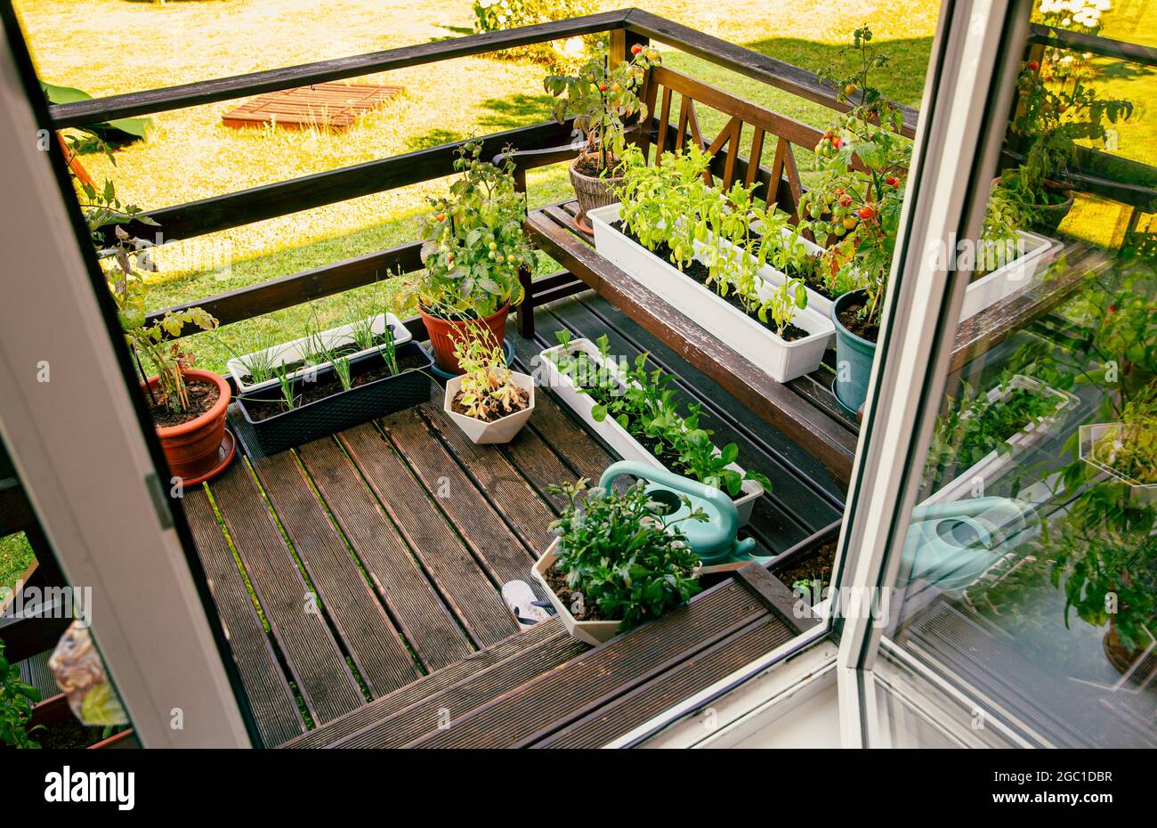 Balcony Vegetable Garden Design