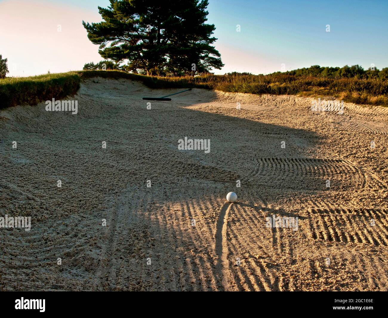 Golf sport still life image Stock Photo - Alamy