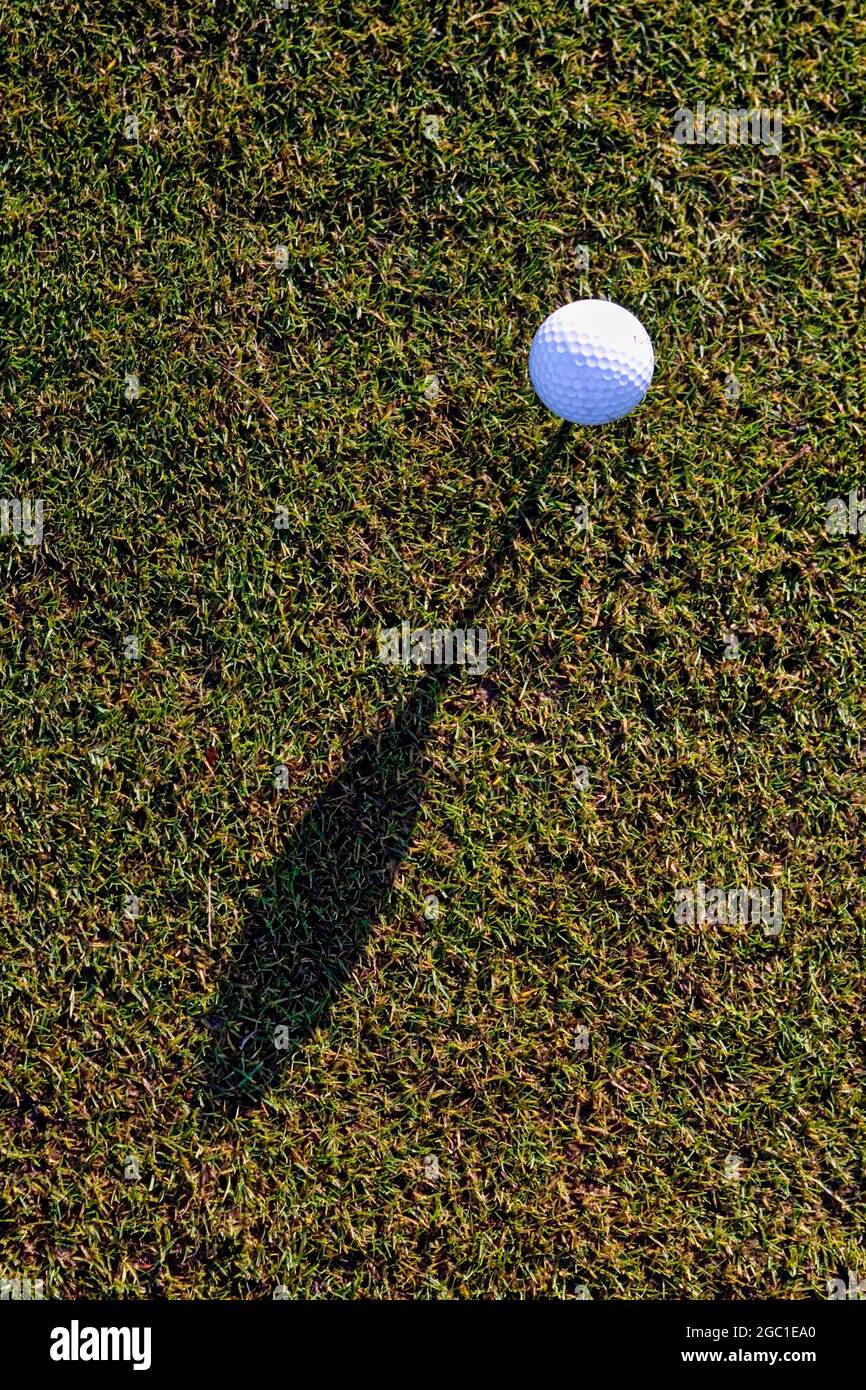 Golf sport still life image Stock Photo - Alamy