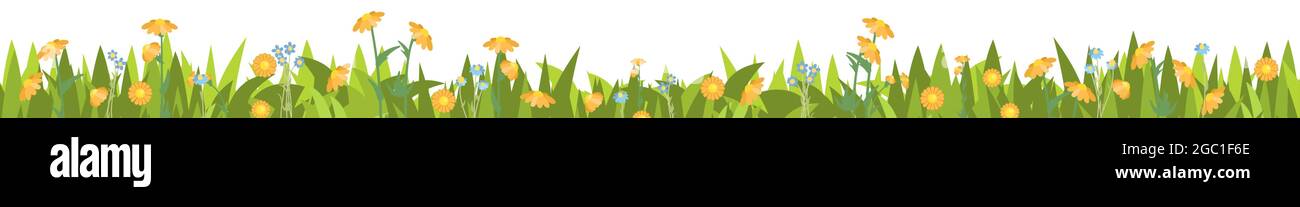 Meadow with wildflowers. Seamless illustration. Grass close-up. Green ...