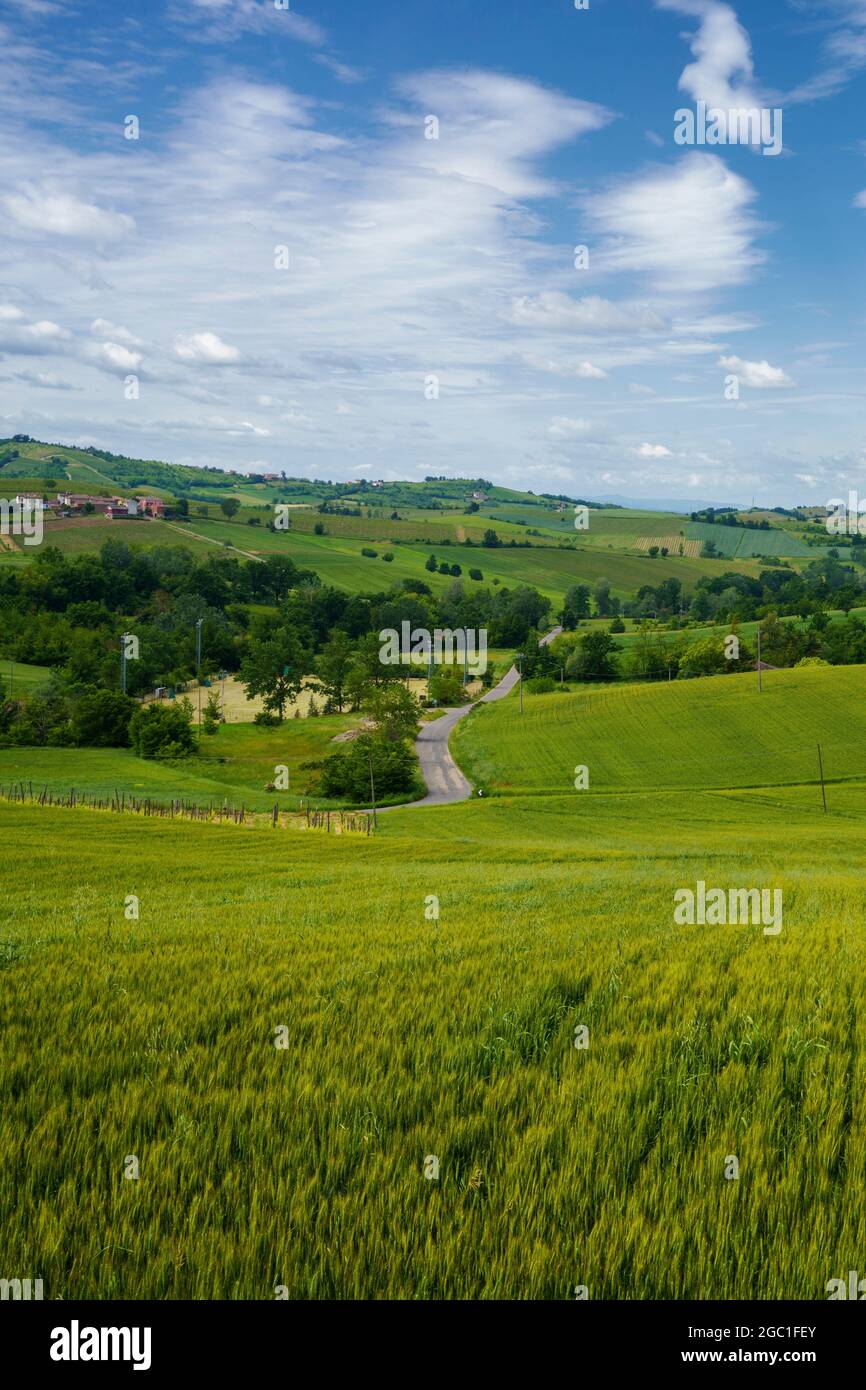 Landscape on the Tortona hills (Colli Tortonesi), in the Alessandria ...