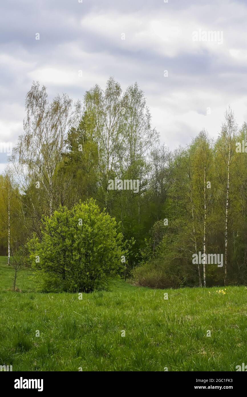 Spring landscape in the countryside Stock Photo - Alamy