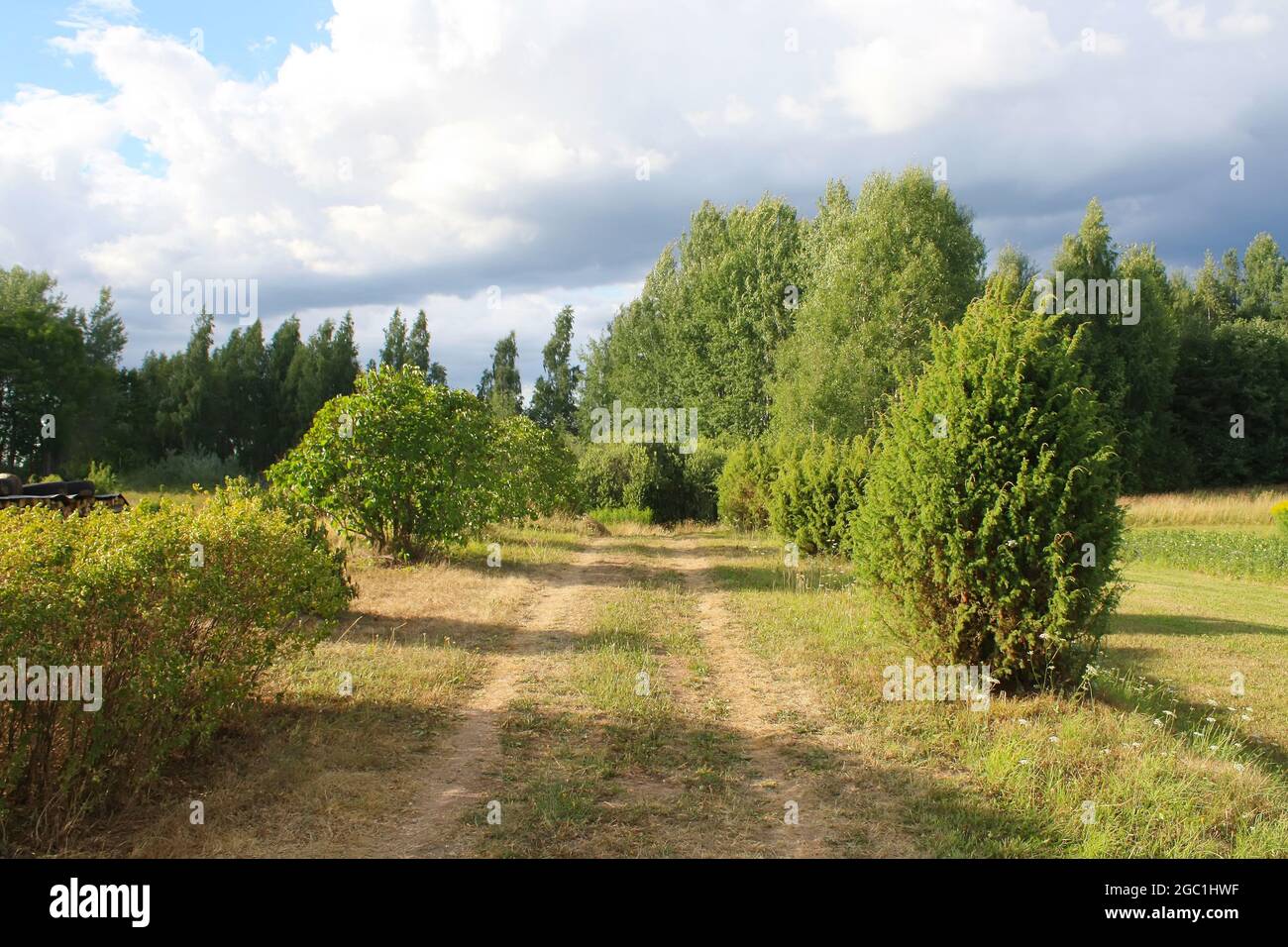 Beautiful spring landscape in Latvia, East Europe Stock Photo - Alamy