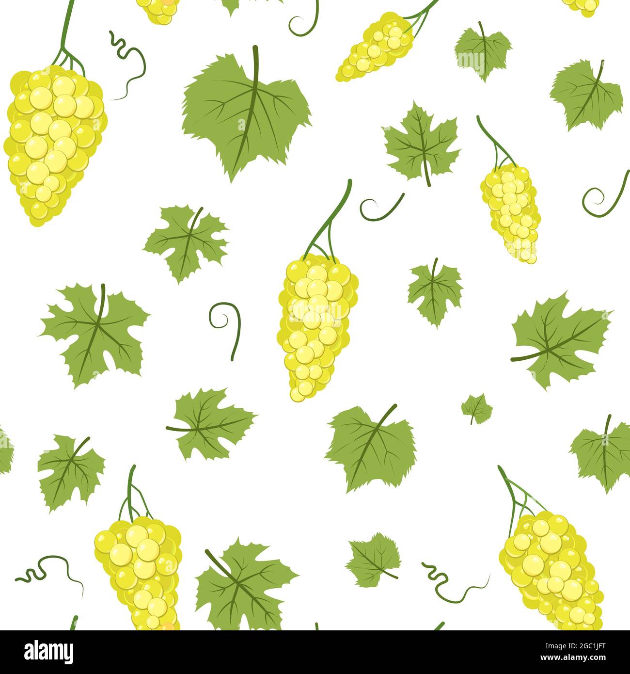 Bunches of grapes. Branches with yellow berries. Young vineyard. Sweet autumn harvest. Seamless ...