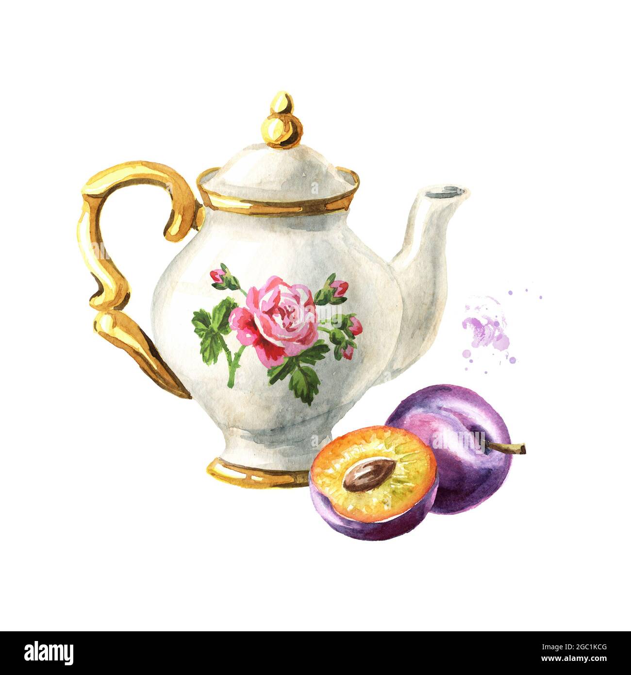 Teapot and Plum. Hand drawn watercolor illustration isolated on white ...