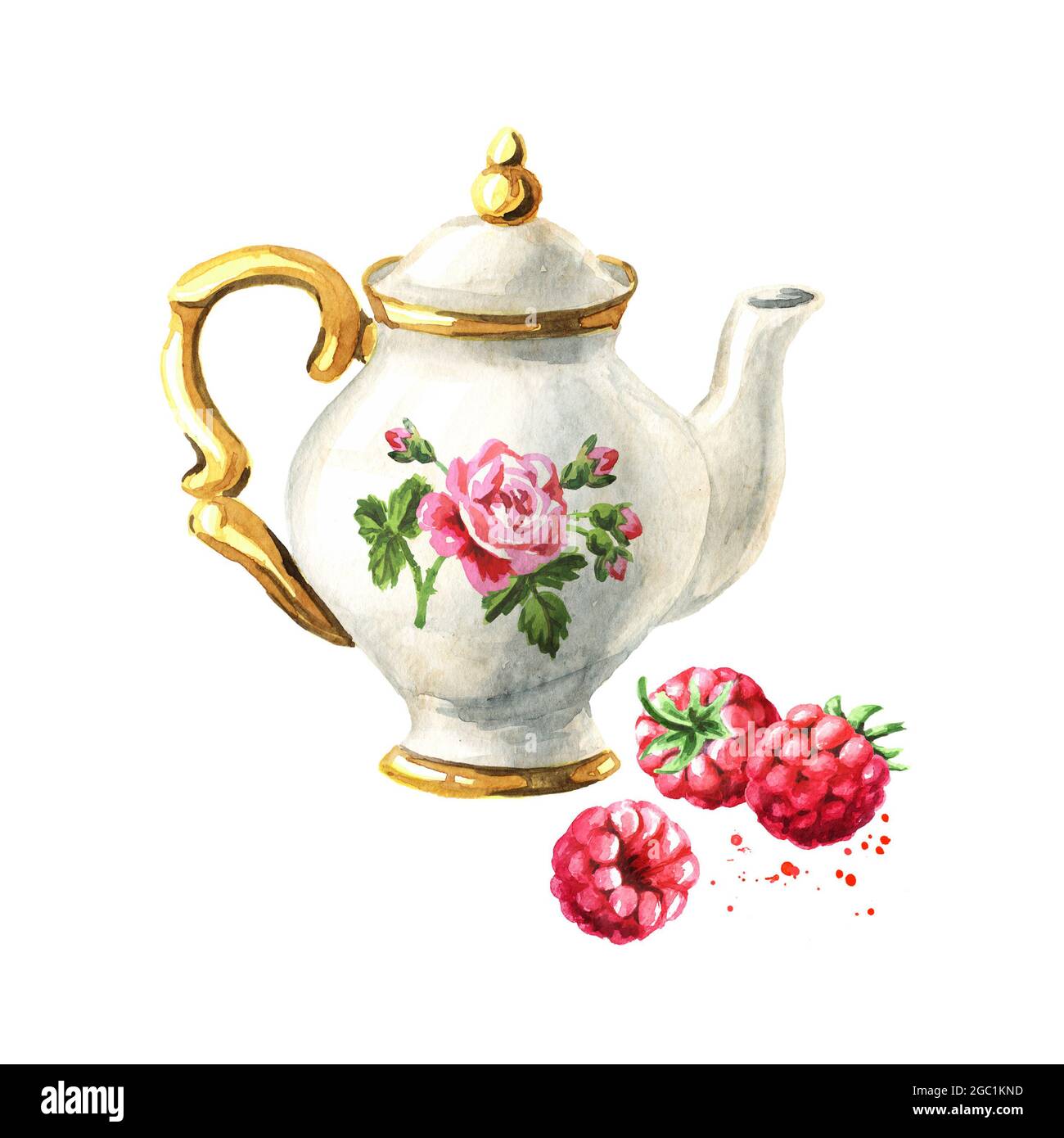 Teapot and Raspberry. Hand drawn watercolor illustration isolated on ...
