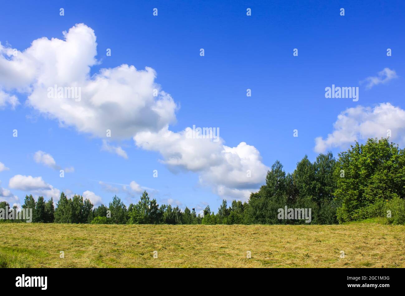 Summer landscape in countryside Stock Photo - Alamy