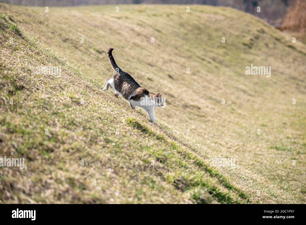 Positive slope hi-res stock photography and images - Alamy