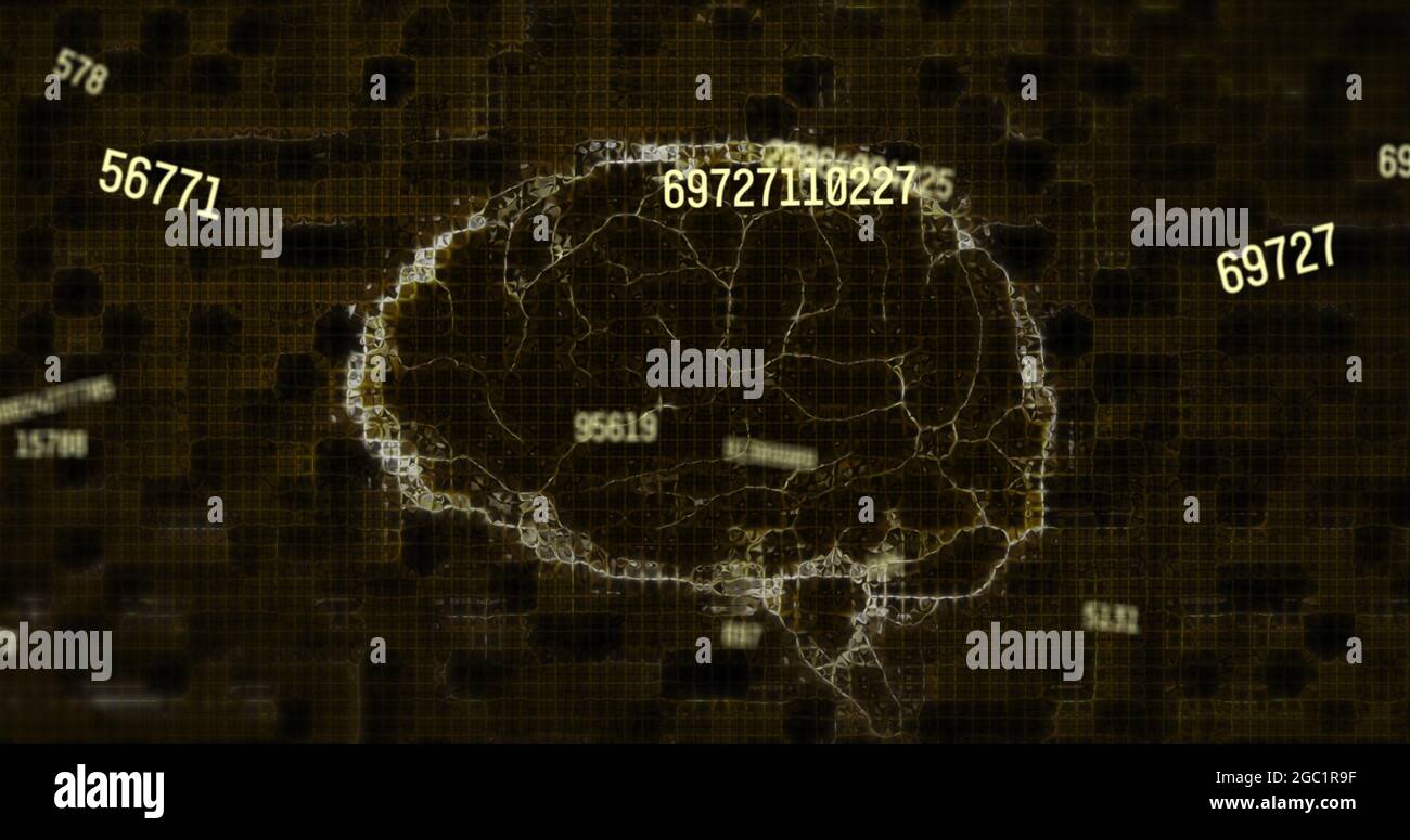 Image of numbers changing with human brain spinning Stock Photo - Alamy