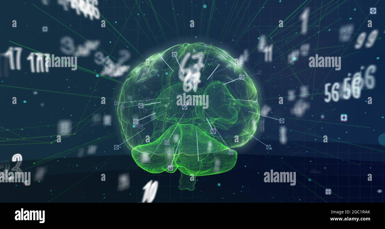 Image of numbers changing over glowing human brain Stock Photo - Alamy