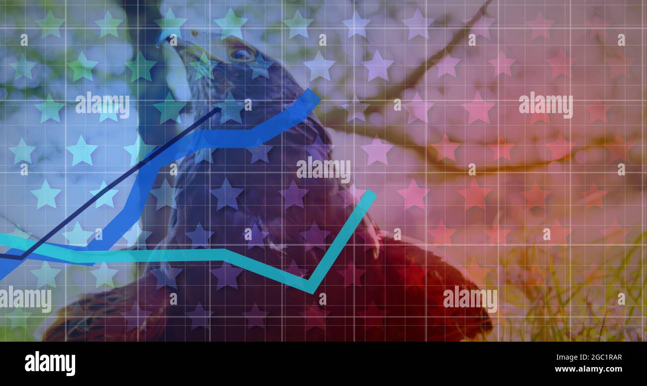 Multiple blue graphs moving over grid network and multiple stars ...