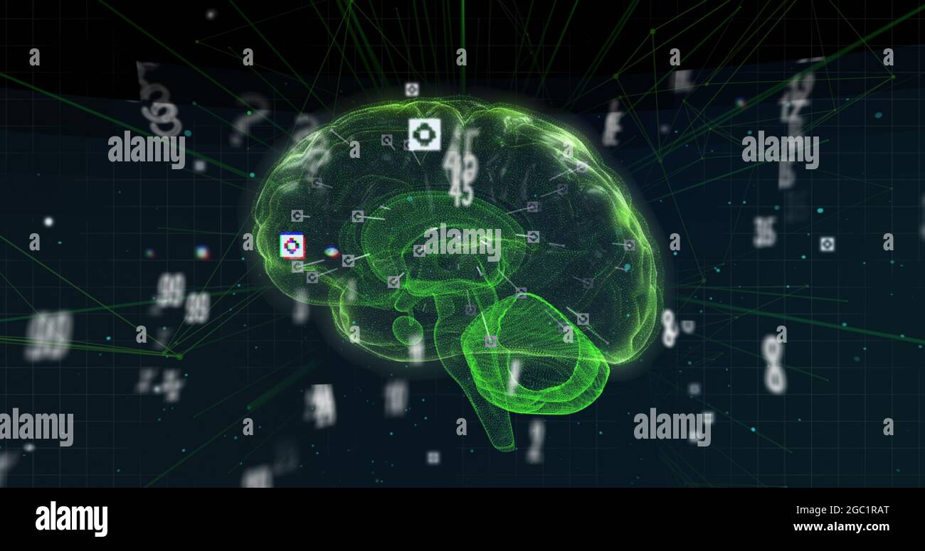 Image of numbers changing over glowing human brain Stock Photo - Alamy