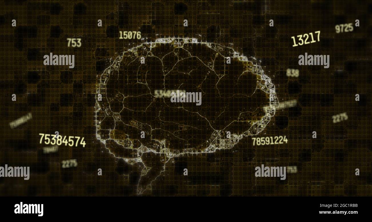 Image of numbers changing with human brain spinning Stock Photo - Alamy