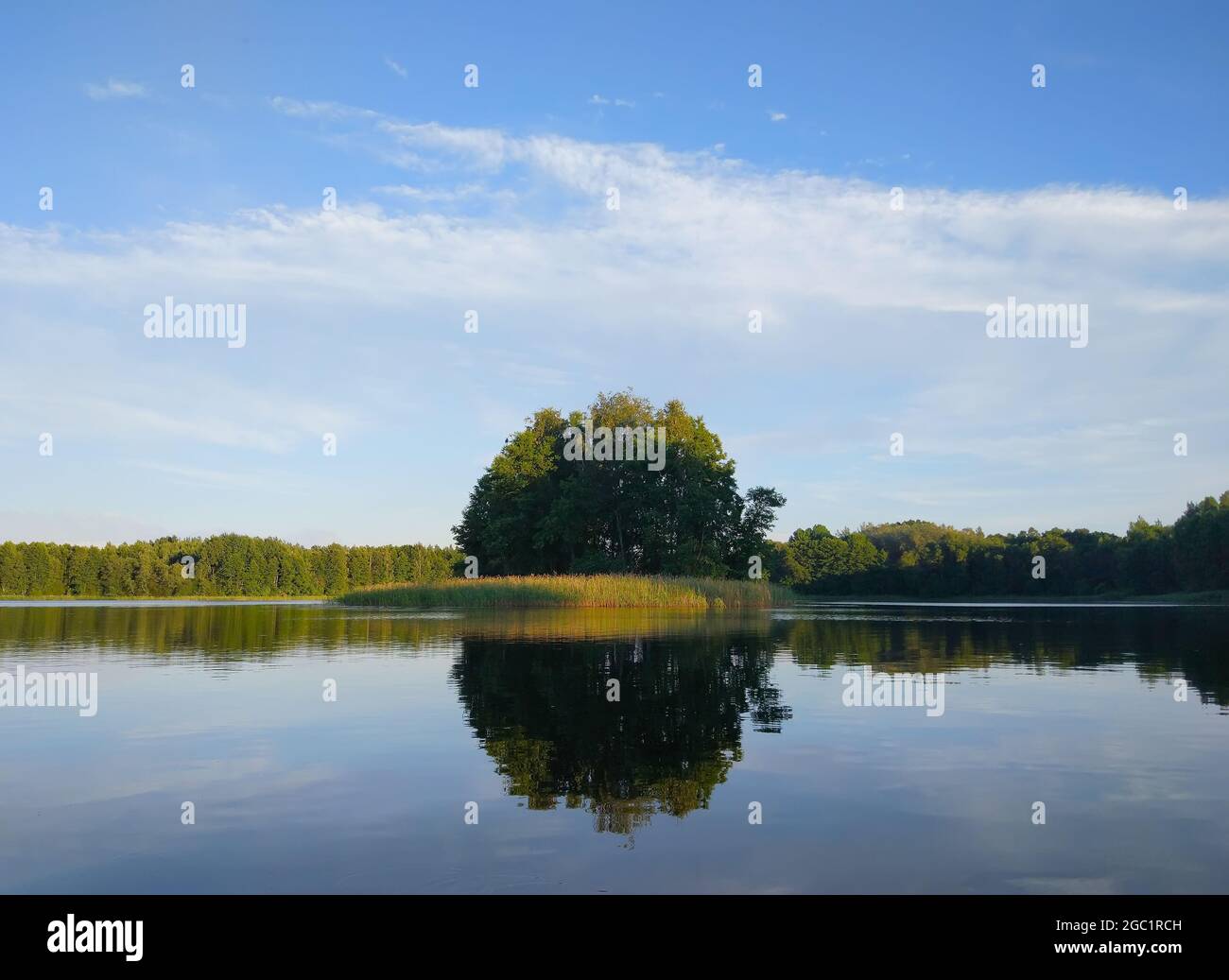 Lake in Latvia with small island. Summer landscape with calm water and ...