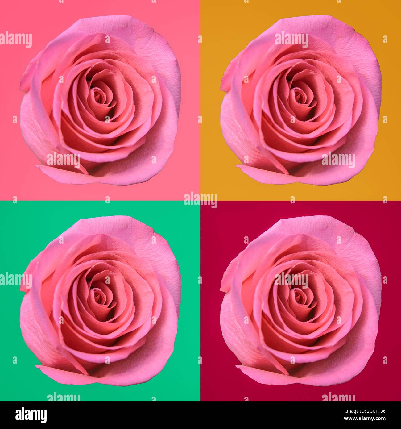 Abstract art pink rose background pattern Stock Photo - Alamy