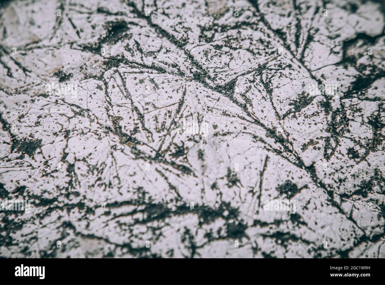 Shallow focus shot of a white rock surface and its scratches Stock ...