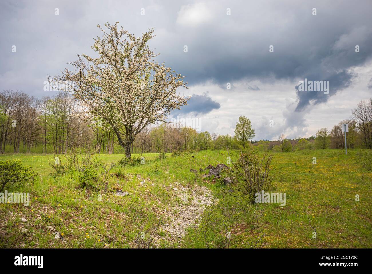 Inner german border hi-res stock photography and images - Alamy
