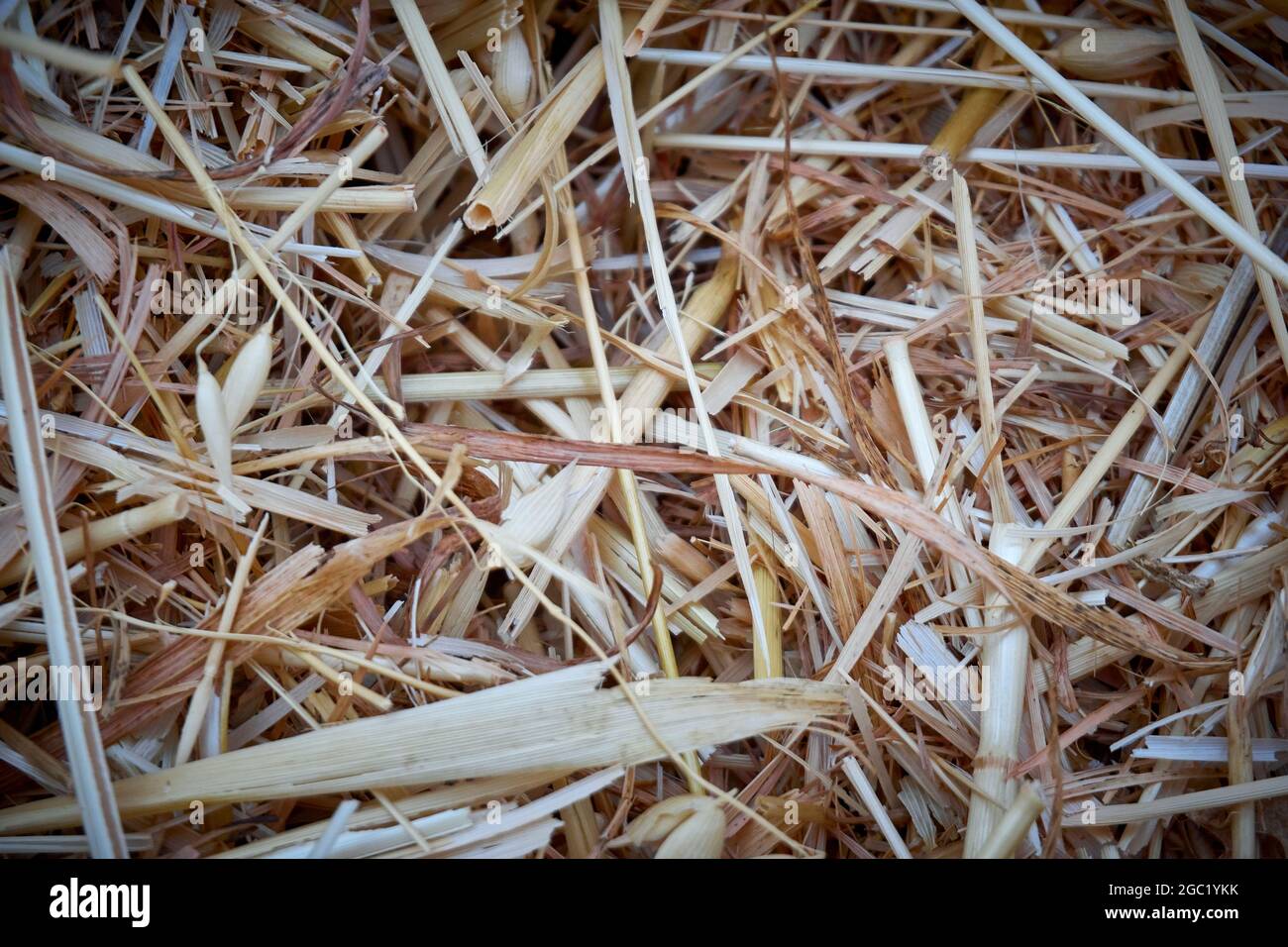 Dry hay straw backdrop texture Stock Photo - Alamy