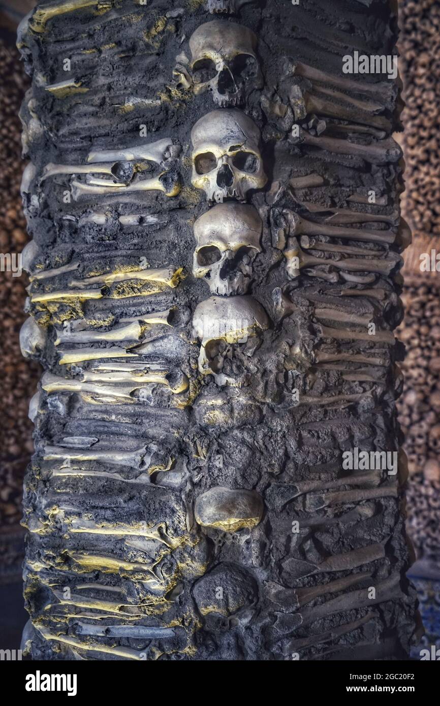 Shot of many skulls Stock Photo - Alamy