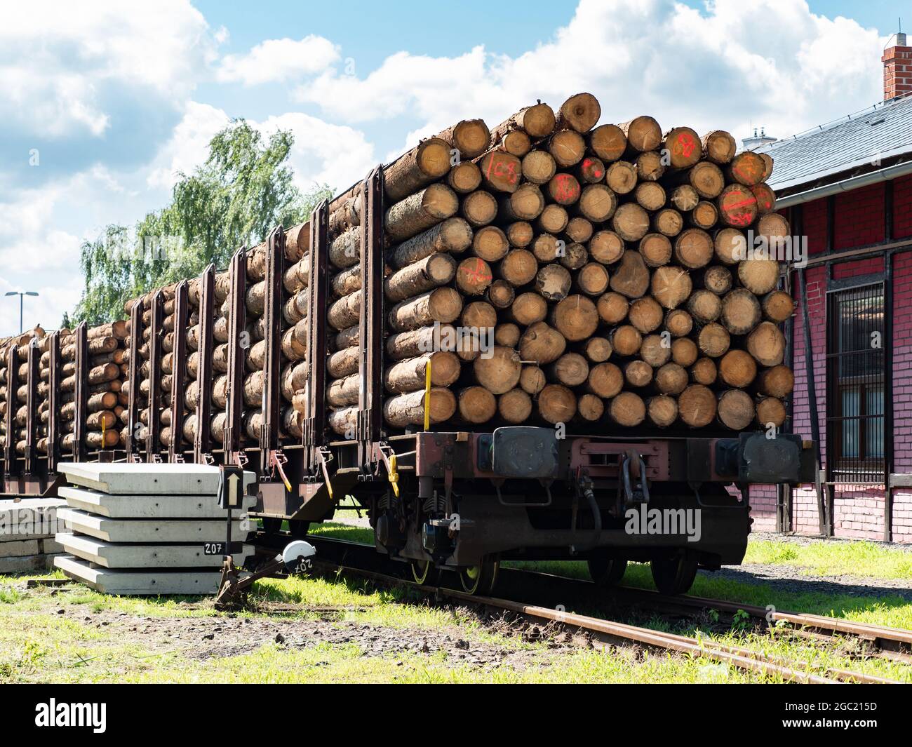 Timber transport by trail by railways. The train car stands in a depot ...