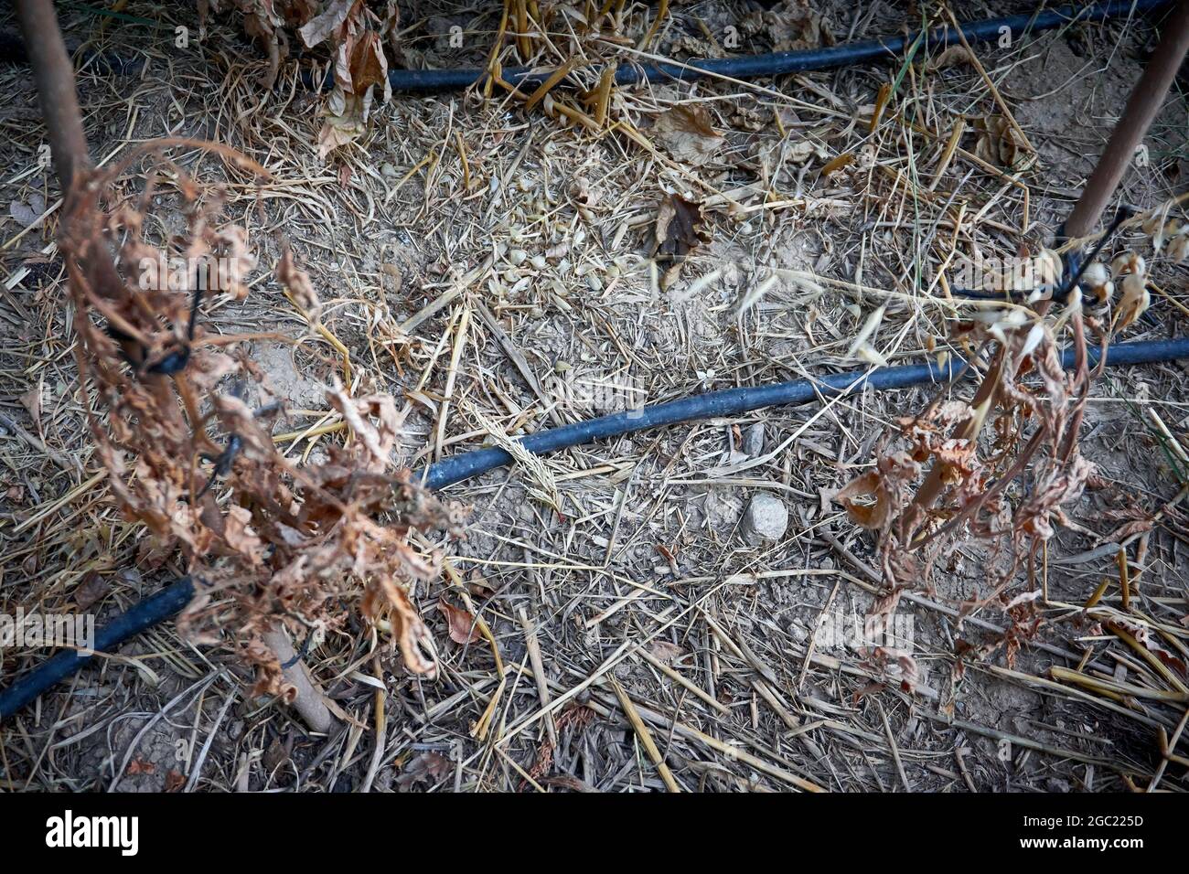 The concept of global warming and strong heat Stock Photo - Alamy