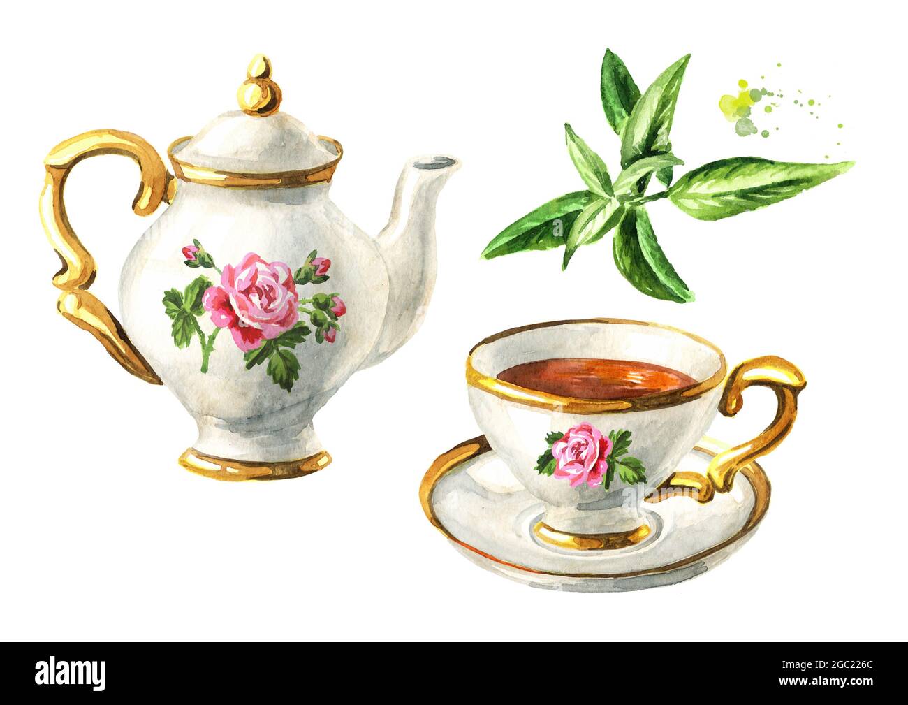 Teapot, cup of tea and Verbena herb set. Hand drawn watercolor ...