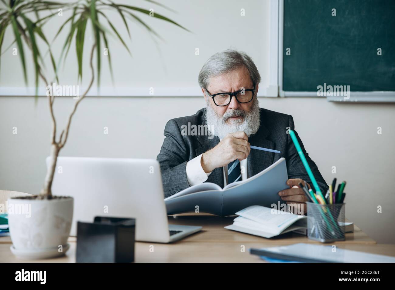 Elder gray-headed man, professor, teacher working at work, indoors ...