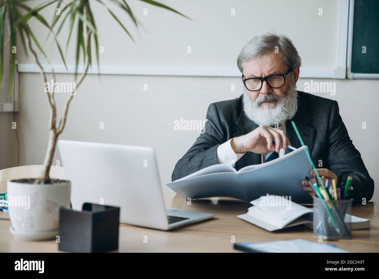 Elder gray-headed man, professor, teacher working at work, indoors ...