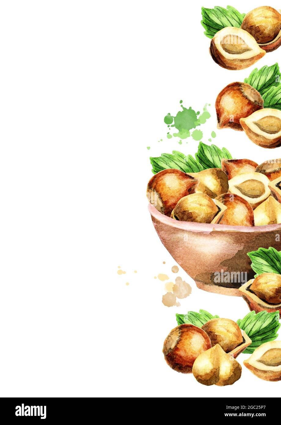 Hazelnut template. Watercolor hand-drawn background Stock Photo - Alamy