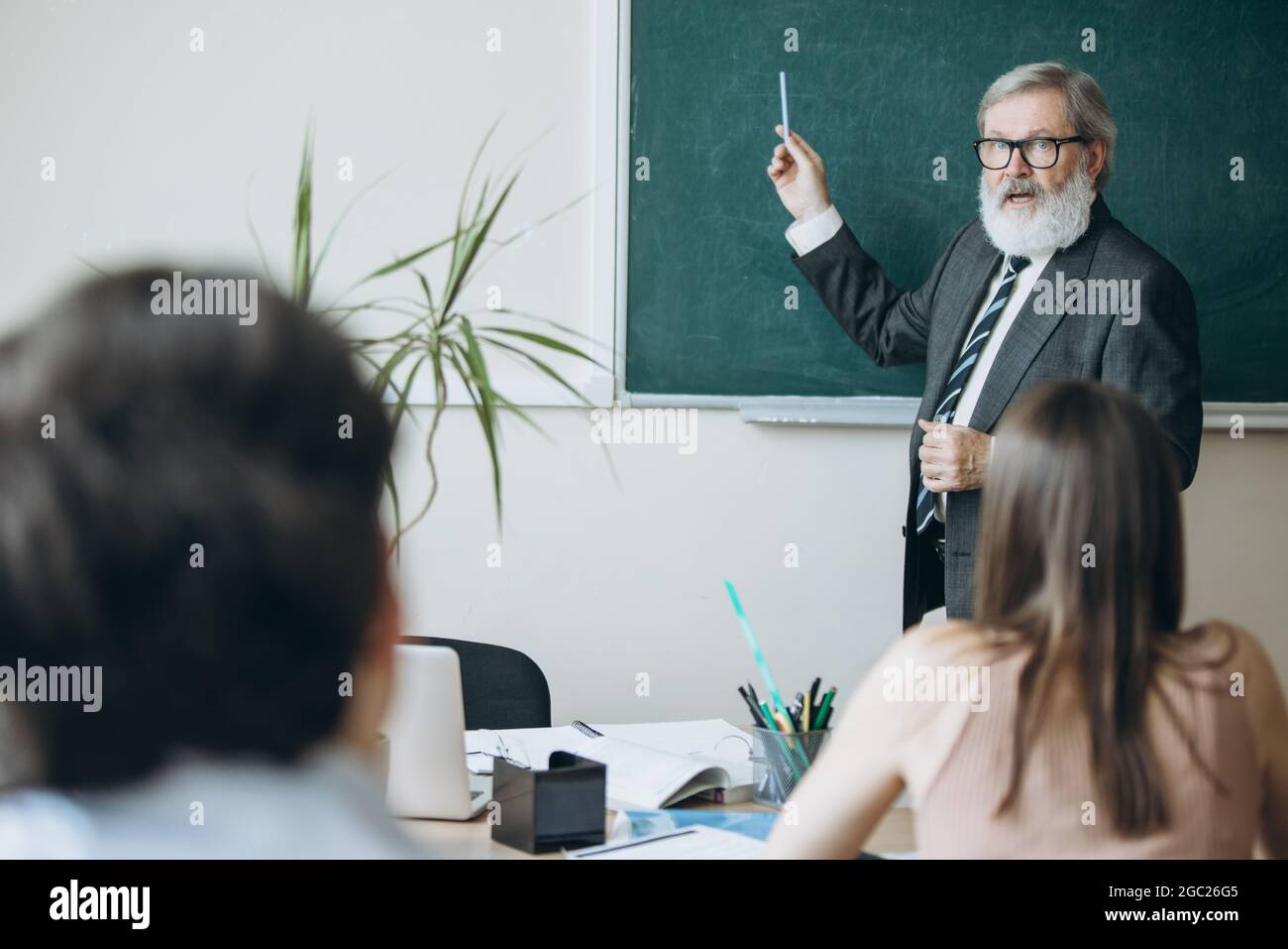 Elderly gray-headed man, professor, teacher and students at lecture ...