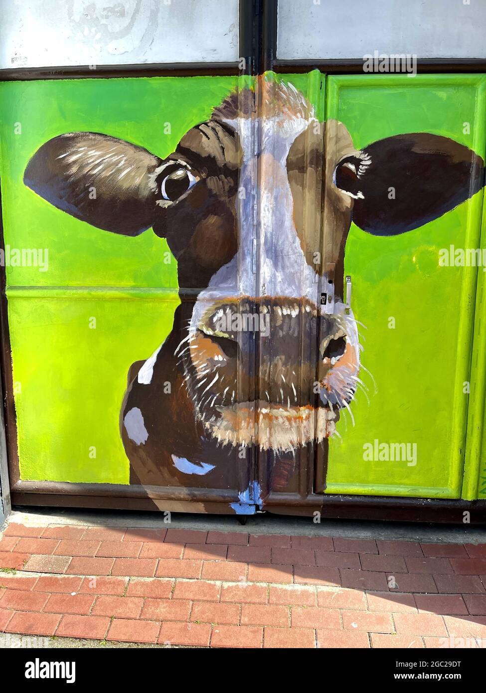 Cow head gate hi-res stock photography and images - Alamy