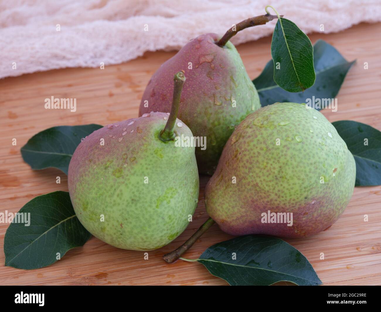 Harvest rain hi-res stock photography and images - Alamy