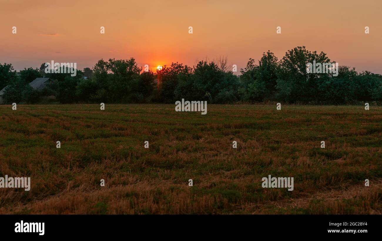 Beautiful field trees sunset spring hi-res stock photography and images ...