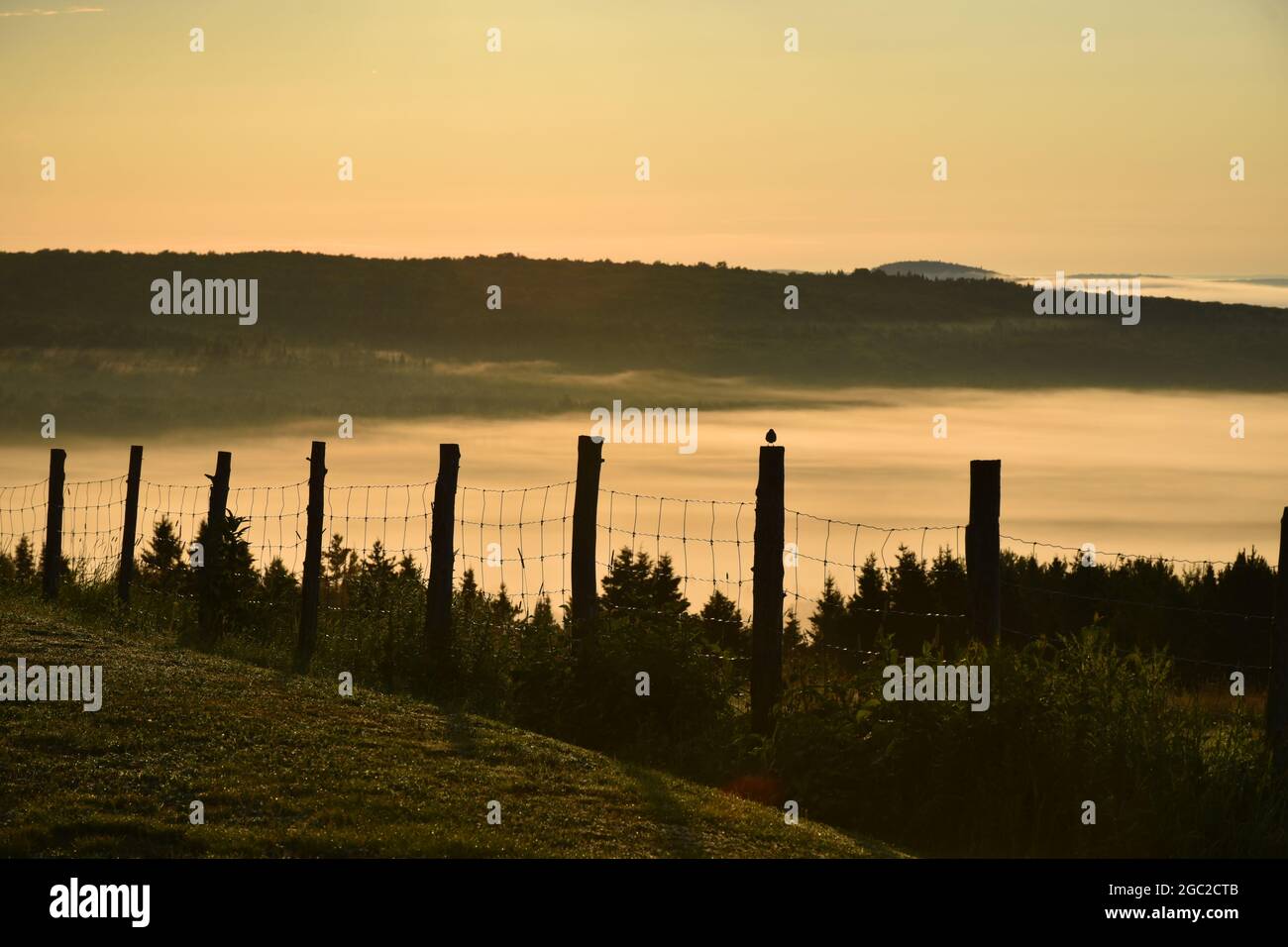 Chilly summer morning hi-res stock photography and images - Alamy