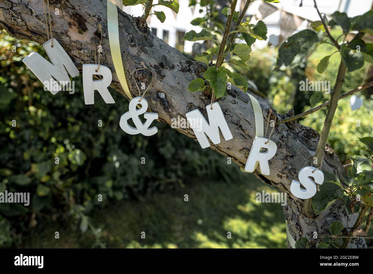 Mr tree hi-res stock photography and images - Alamy