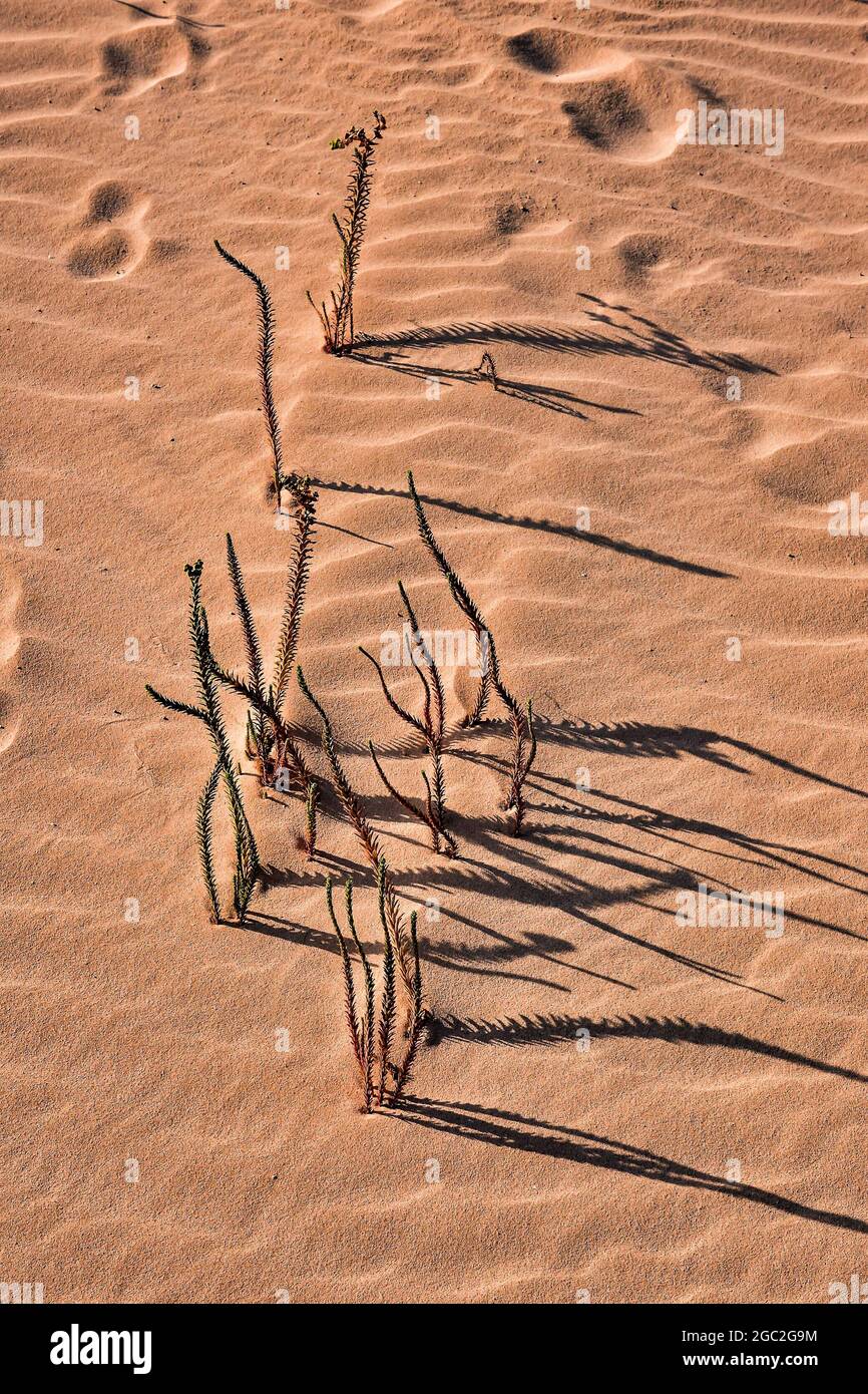 Sand texture in the Canary Islands, Spain Stock Photo - Alamy