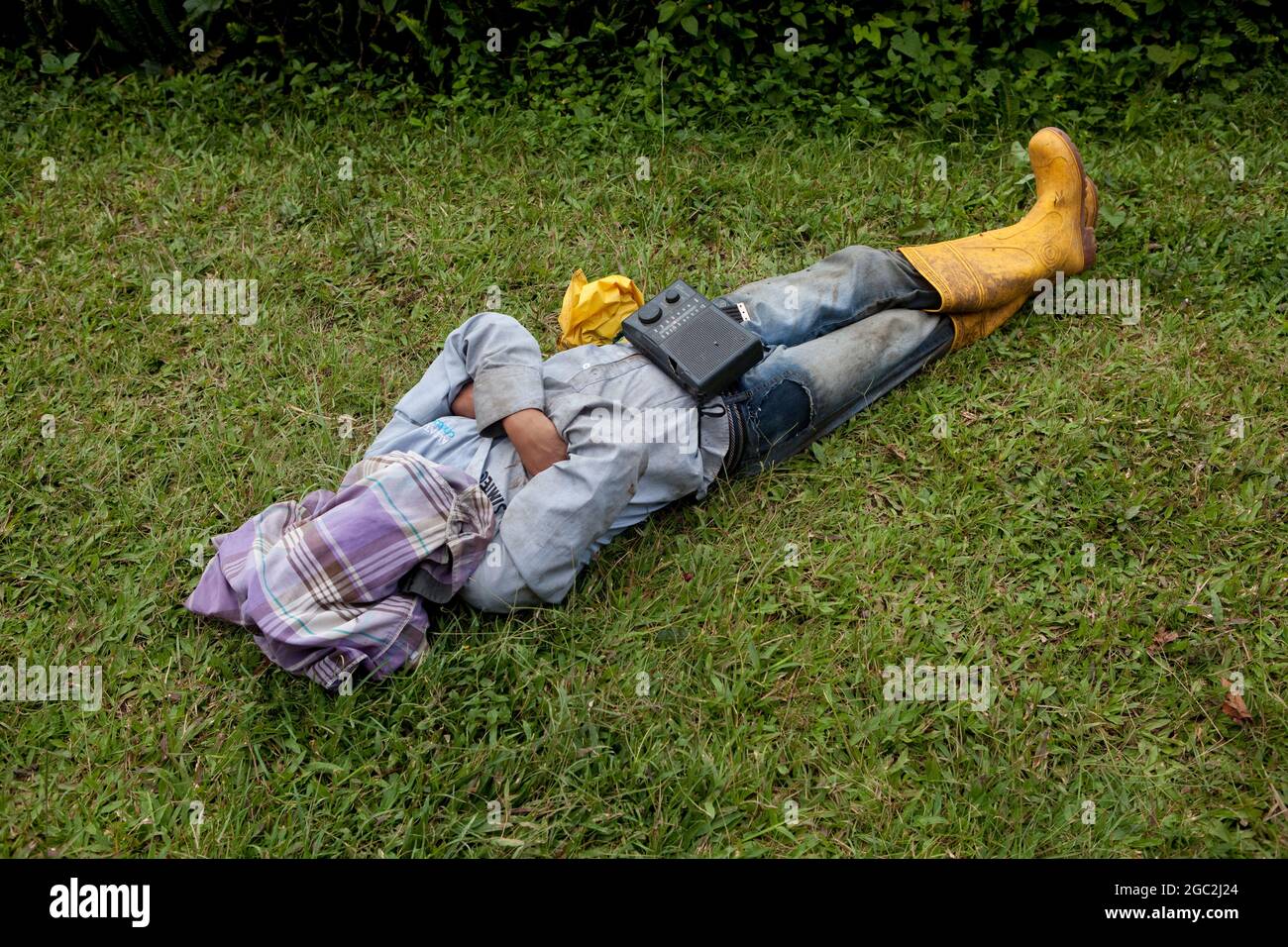 Coffee plantation worker beans columbia hi-res stock photography and ...