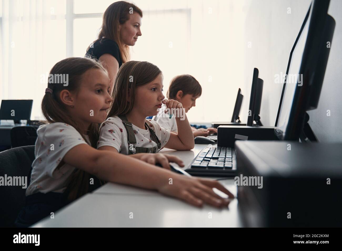 Working in pairs during computer studies lessons Stock Photo - Alamy