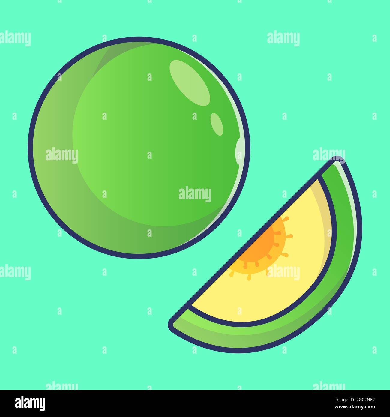 Melon illustration. Cartoon icon style Stock Vector Image & Art - Alamy