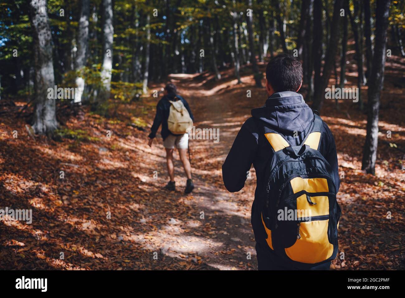 Two man friends with backpack hiking together in autumn nature. Male ...