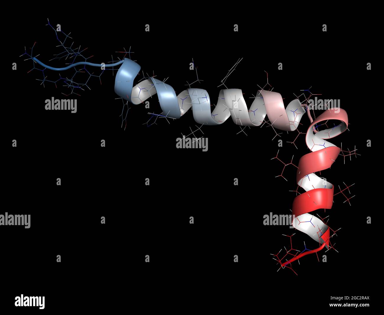 Beta-amyloid (Abeta) peptide, 3D rendering. Major component of p Stock ...