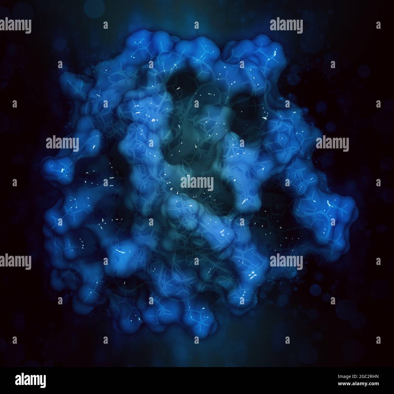 Bovine beta-lactoglobulin protein, 3D structure. Major whey prot Stock ...