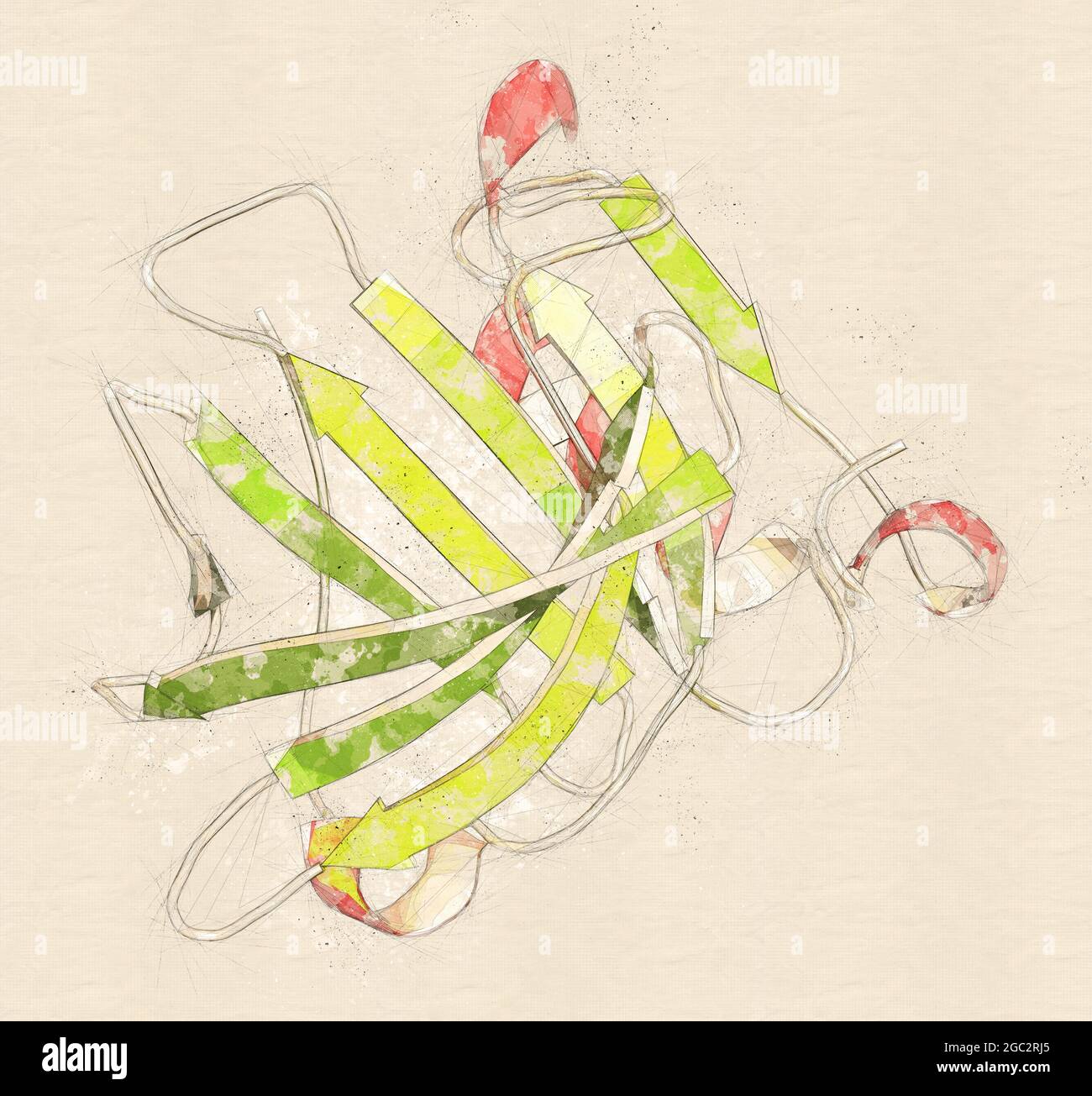 Bovine beta-lactoglobulin protein, 3D structure. Major whey prot Stock ...