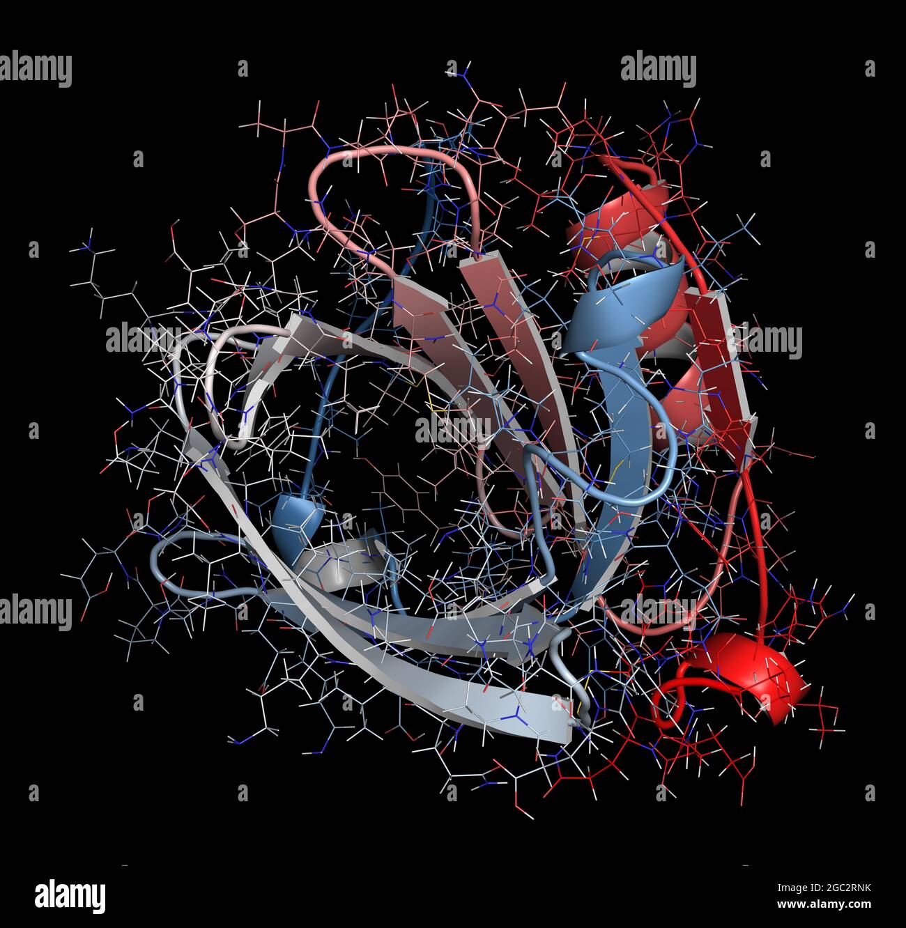 Bovine beta-lactoglobulin protein, 3D structure. Major whey prot Stock ...