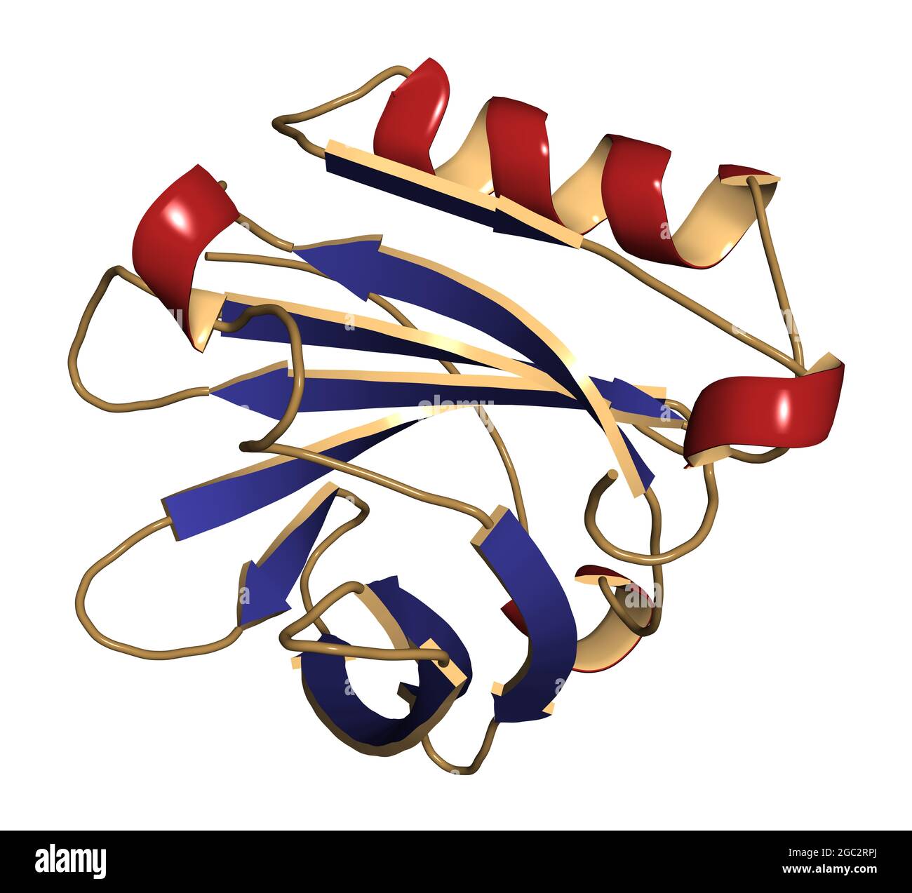 Beta lactoglobulin hi-res stock photography and images - Alamy