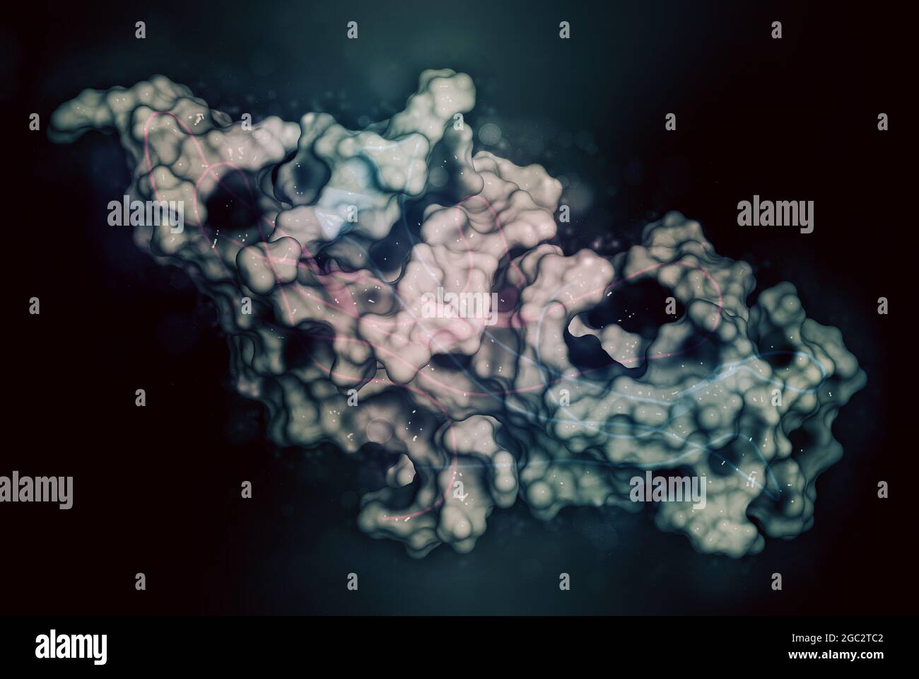 Human Chorionic Gonadotropin (hCG) glycoprotein hormone, 3D rend Stock ...