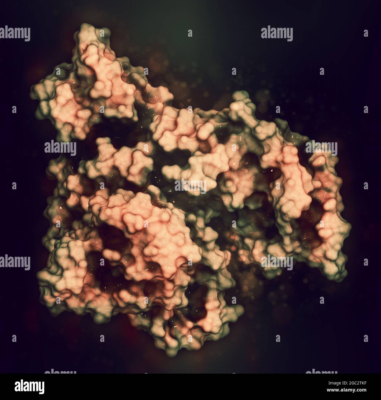 Human Serum Albumin Molecule Photograph By Science Photo