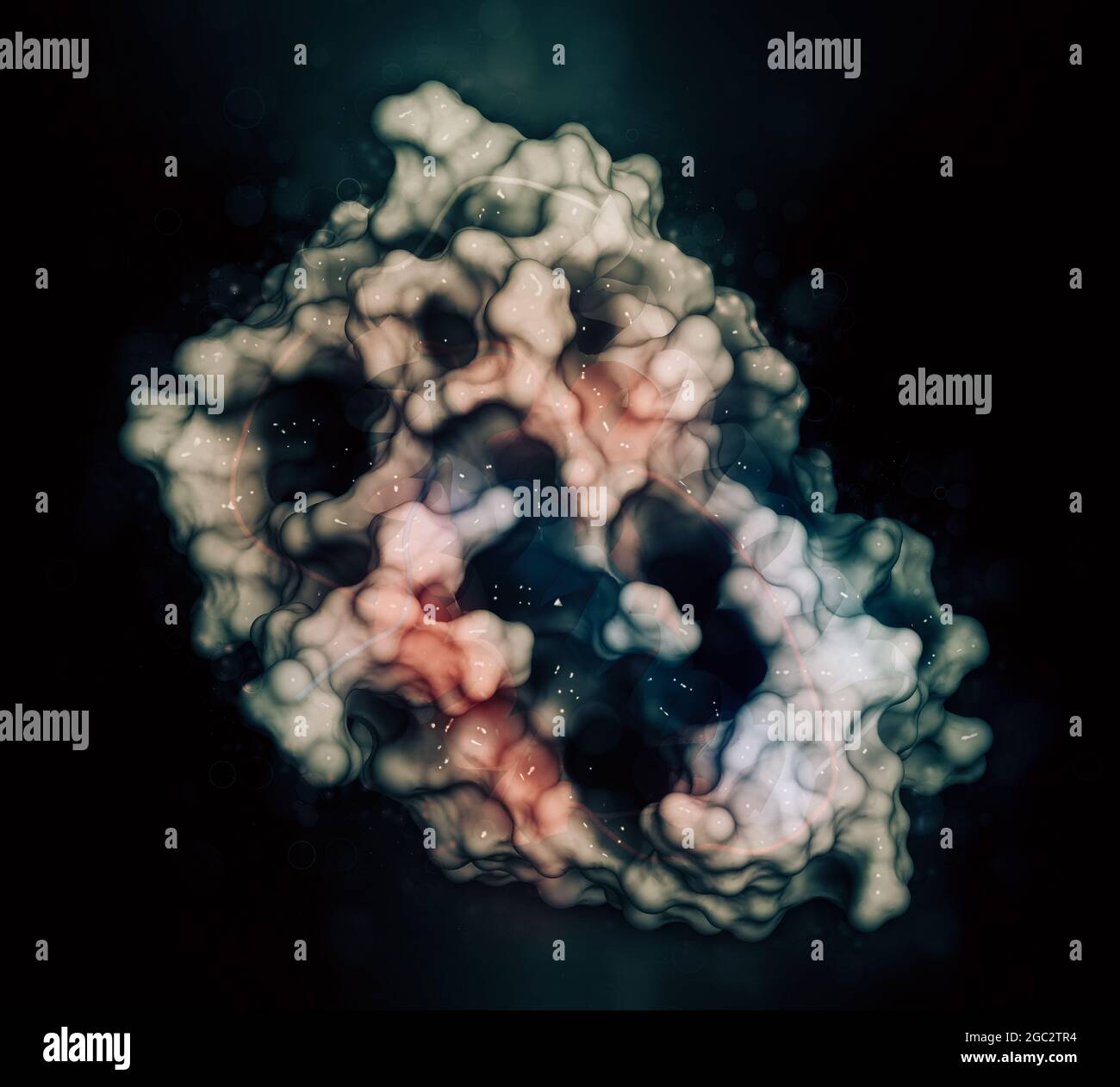 Interferon alpha 2a (IFNA2) molecule, 3D rendering. Pegylated an Stock ...