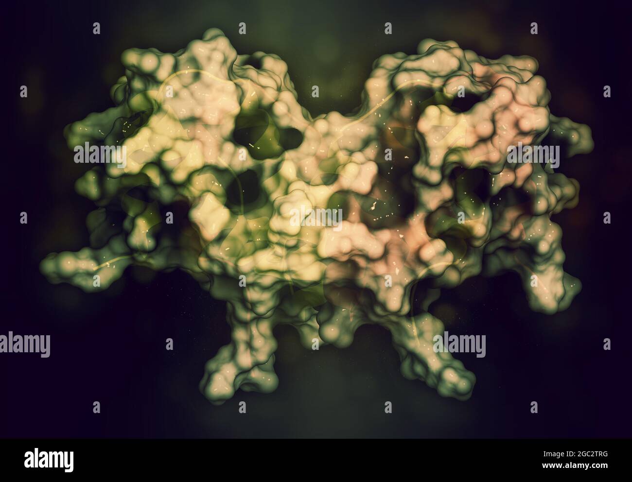 Molecular model interferon gamma hi-res stock photography and images ...